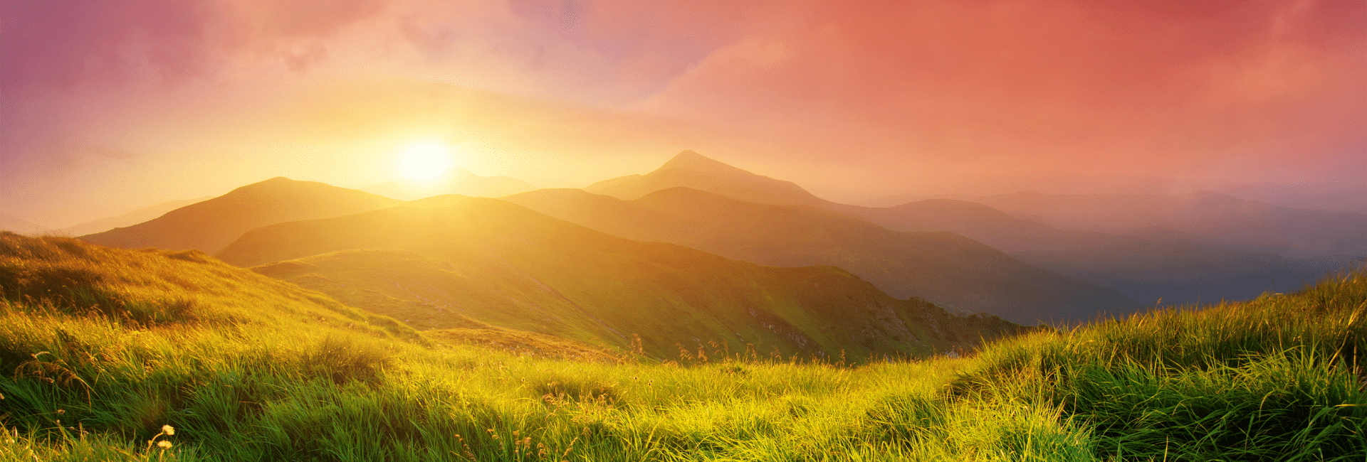 Summer Season - The Joy of Fire Energy - Spring Forest Qigong