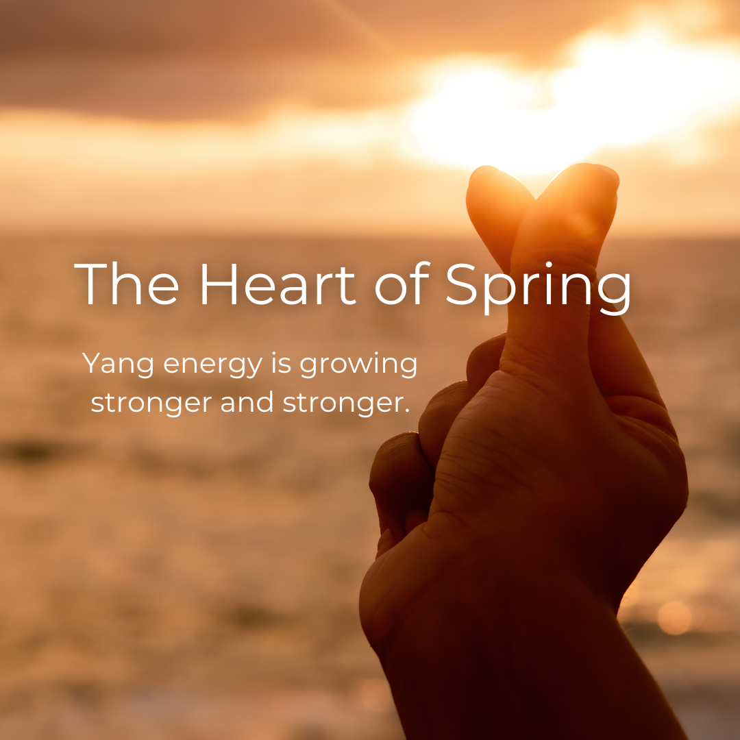 The Heart of Spring - Spring Forest Qigong