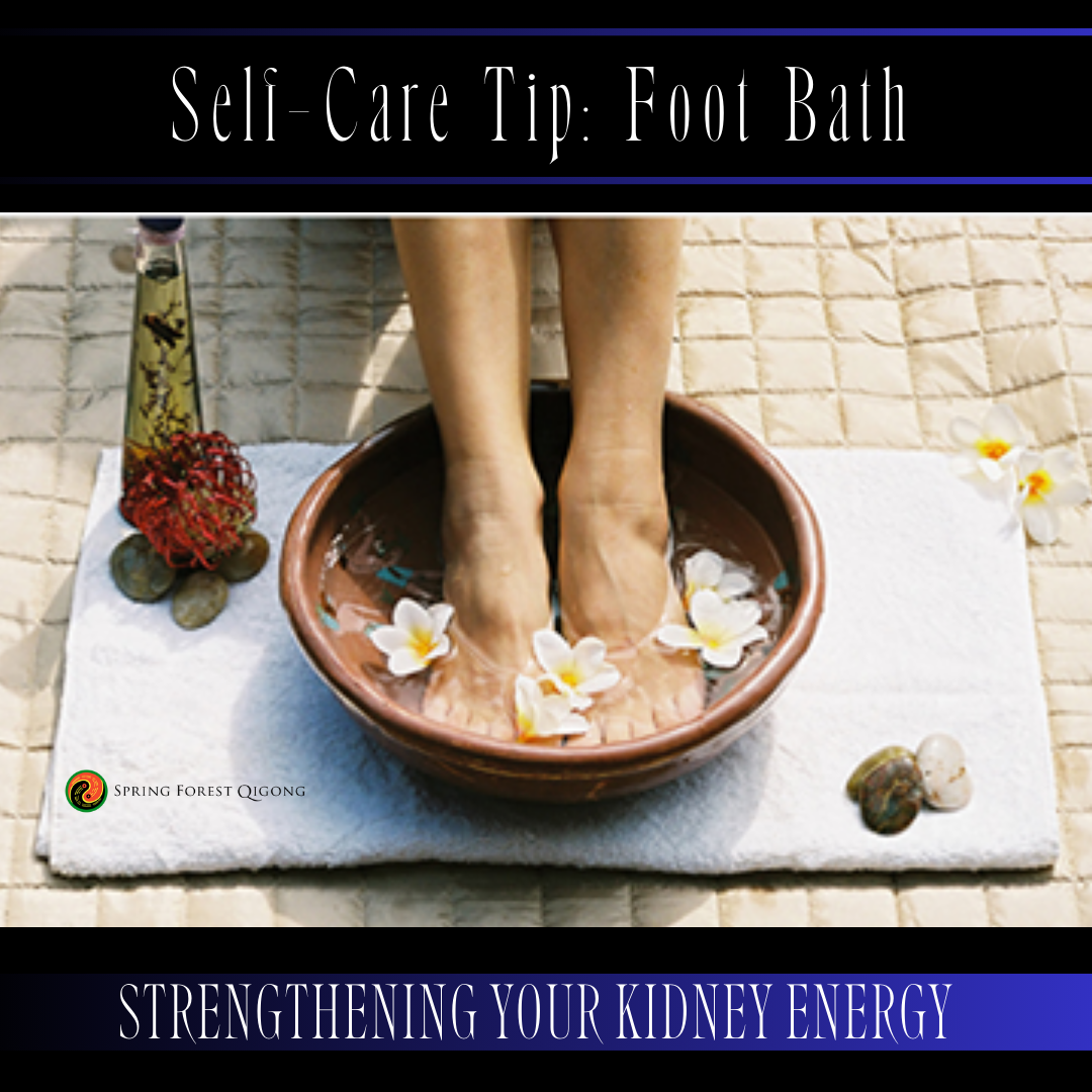Preparing Your Body for Winter - Spring Forest Qigong