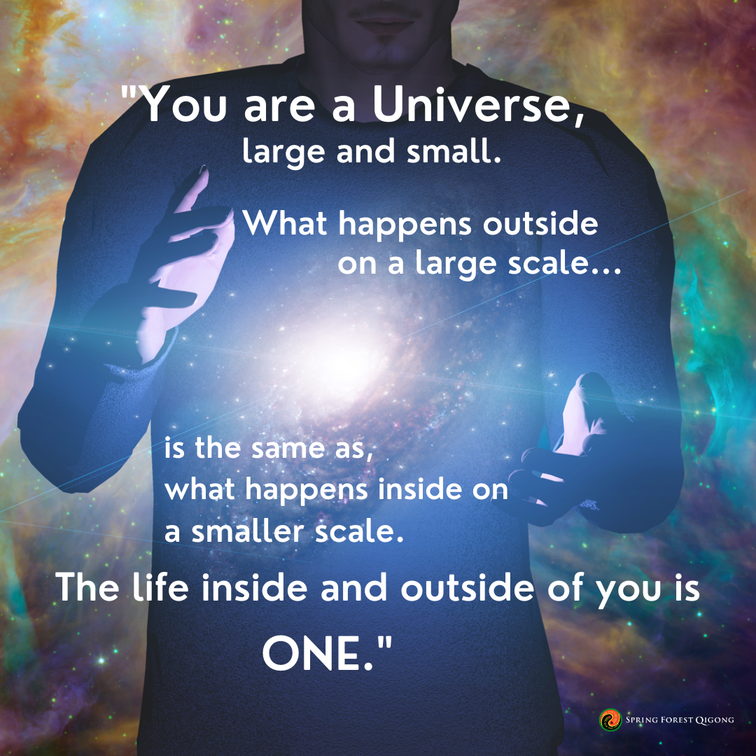 The Universe in a Fingertip - Spring Forest Qigong