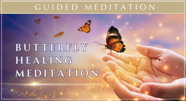 Butterfly Guided Healing Meditation with Master Chunyi Lin - Spring ...