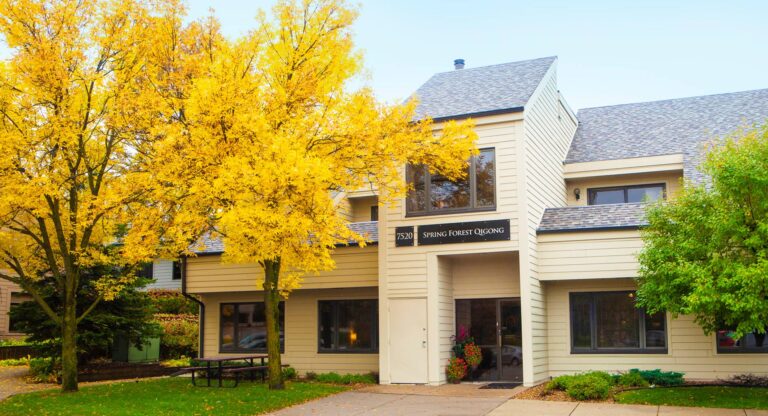 Master Chunyi Lin, Grand Qigong Master - Spring Forest Qigong