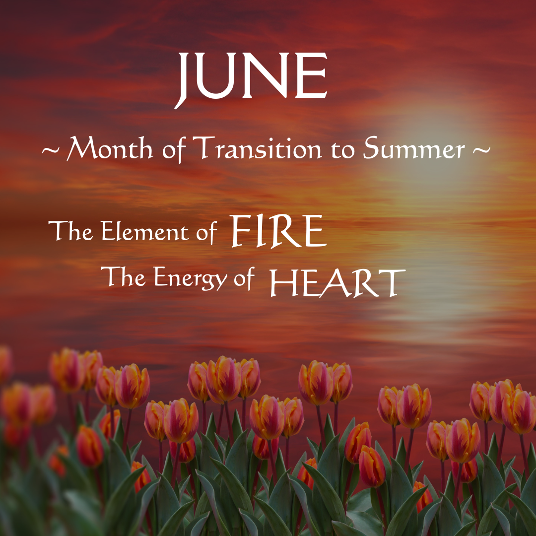 Summer Season - The Joy of Fire Energy - Spring Forest Qigong